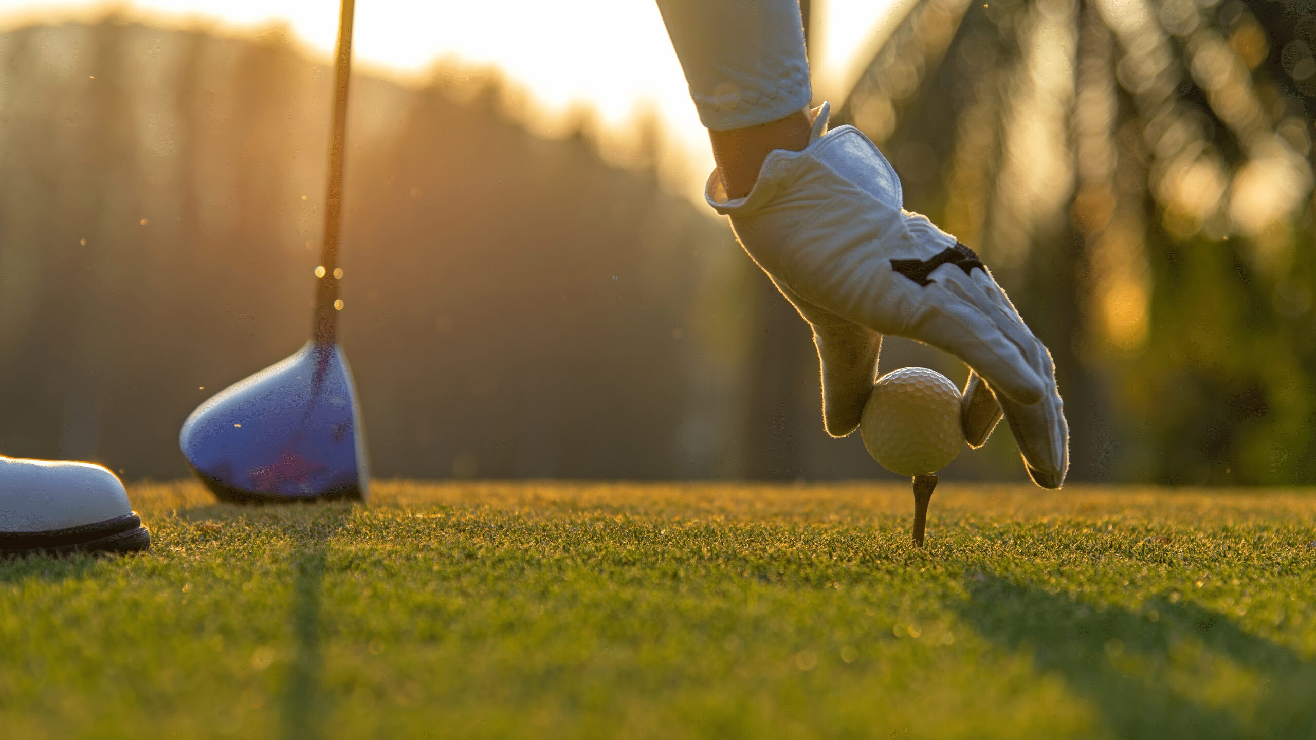 Golf Collingwood & Blue Mountains - Keleher + Co.